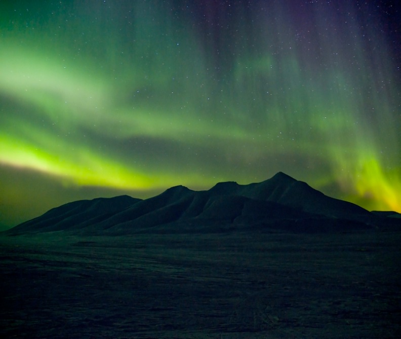 Explore the polar night and visit the Basecamp huskies