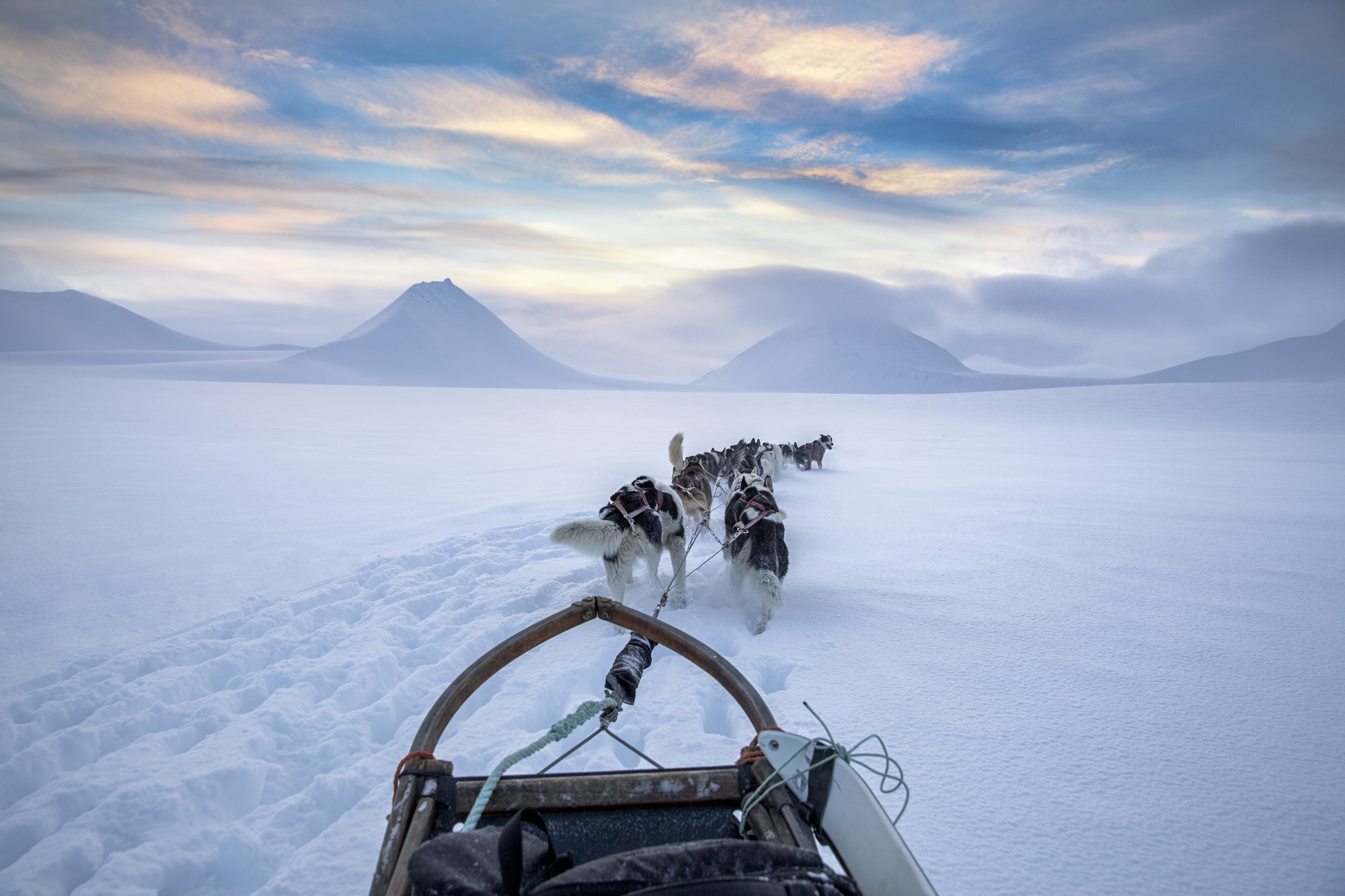 Husky Slider - Dog Sledding Tour
